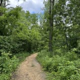 Horseshoe Bluff Nature Trail, Iowa - 819 Reviews, Map | AllTrails