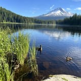 Trillium Lake Loop, Oregon - 2,471 Reviews, Map | AllTrails
