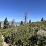 Goodwin Lake Trail, Wyoming - 357 Reviews, Map | AllTrails