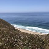 Tomales Point Trail, California - 7,099 Reviews, Map | AllTrails