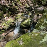 Mount Toby Trail, Massachusetts - 1,098 Reviews, Map | AllTrails