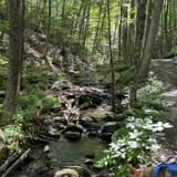 Mount Toby Trail, Massachusetts - 1,098 Reviews, Map | AllTrails