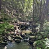 Mount Toby Trail, Massachusetts - 1,098 Reviews, Map | AllTrails