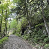 Mount Toby Trail, Massachusetts - 1,098 Reviews, Map | AllTrails