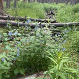 Raspberry Mountain Trail via Ring the Peak Trail, Colorado - 1,892 ...