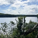 Grout Pond Trail, Vermont - 298 Reviews, Map | AllTrails