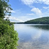 Grout Pond Trail, Vermont - 298 Reviews, Map | AllTrails