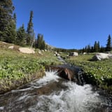 Loch Lomond Trail, Colorado - 2,721 Reviews, Map | AllTrails