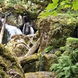 Santiam Wagon Road to House Rock, Oregon - 486 Reviews, Map | AllTrails