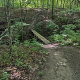 Rocks and Roots South Loop, Ohio - 1,244 Reviews, Map | AllTrails