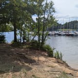 Rocks and Roots South Loop, Ohio - 1,244 Reviews, Map | AllTrails