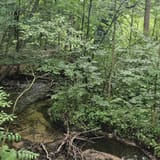 Luton Park Trail, Michigan - 1,158 Reviews, Map | AllTrails