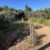 Sweetwater River Loop Trail, California - 439 Reviews, Map | AllTrails