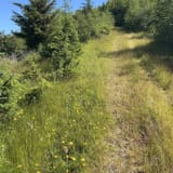 Angora Peak, Oregon - 389 Reviews, Map | AllTrails