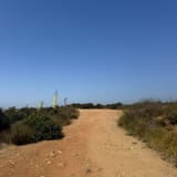 Inspiration Point Loop, California - 5,048 Reviews, Map | AllTrails