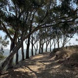 Inspiration Point Loop, California - 5,048 Reviews, Map | AllTrails