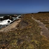 Point Arena-Stornetta Unit of the California Coastal National Monument ...