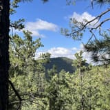 Chamisa Trail, New Mexico - 1,503 Reviews, Map | AllTrails