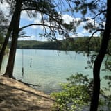 Lake Blue Ridge Loop , Georgia - 900 Reviews, Map | AllTrails