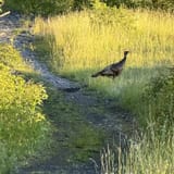 Edgecliff Loop, New York - 327 Reviews, Map | AllTrails