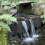 Japanese Gulch Loop Trail, Washington - 1,263 Reviews, Map | AllTrails