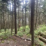 Equinox Mountain and Lookout Rock, Vermont - 1,551 Reviews, Map | AllTrails