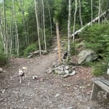 Equinox Mountain and Lookout Rock, Vermont - 1,551 Reviews, Map | AllTrails