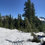 Mount Forgotten Meadows Trail, Washington - 353 Reviews, Map | AllTrails