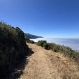 Tanbark Trail and Tin House Loop, California - 1,411 Reviews, Map ...