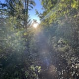 Tanbark Trail and Tin House Loop, California - 1,411 Reviews, Map ...