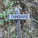 Tanbark Trail and Tin House Loop, California - 1,411 Reviews, Map ...