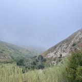 Corral Canyon Loop, California - 1,919 Reviews, Map | AllTrails