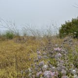 Corral Canyon Loop, California - 1,919 Reviews, Map | AllTrails