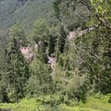 Booth Falls, Colorado - 5,407 Reviews, Map | AllTrails