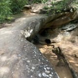 Princess Arch Trail, Kentucky - 1,440 Reviews, Map | AllTrails