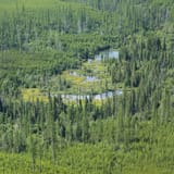 Apgar Lookout, Montana - 1,968 Reviews, Map | AllTrails