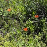 Door Jamb Mountain and Loder Peak Trail, Alberta, Canada - 1,091 ...