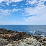 Marginal Way, Maine - 1,659 Reviews, Map | AllTrails
