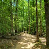 Canyon Loop Trail, Georgia - 2,433 Reviews, Map | AllTrails