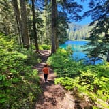 Independence Lake Trail, Washington - 92 Reviews, Map | AllTrails