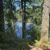 Tradition Lake Loop Trail, Washington - 1,643 Reviews, Map | AllTrails