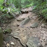 Daniel Ridge Loop, North Carolina - 2,107 Reviews, Map | AllTrails