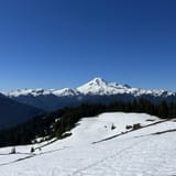 Excelsior Pass Trail, Washington - 668 Reviews, Map | AllTrails