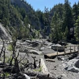 Heart Creek Trail, Alberta, Canada - 3,600 Reviews, Map | AllTrails