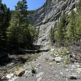 Heart Creek Trail, Alberta, Canada - 3,600 Reviews, Map | AllTrails