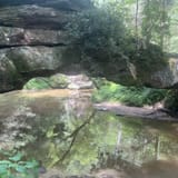 Rock Bridge Trail, Kentucky - 3,839 Reviews, Map | AllTrails