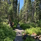 Emerald Lake Loop, British Columbia, Canada - 2,941 Reviews, Map ...