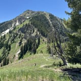 Box Elder Peak via Deer Creek-Dry Creek Trail, Utah - 359 Reviews, Map ...