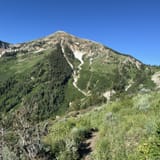 Box Elder Peak via Deer Creek-Dry Creek Trail, Utah - 359 Reviews, Map ...
