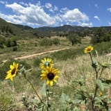 Hall Ranch Loop: Nighthawk to Bitterbrush, Colorado - 425 Reviews, Map ...